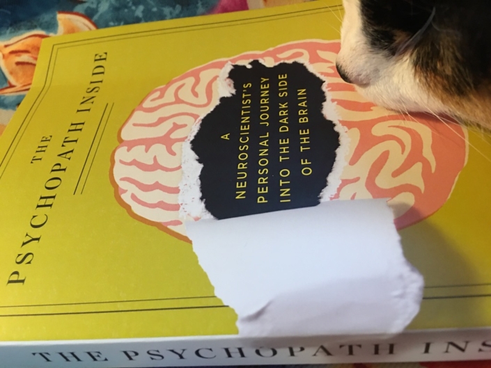 Look A Book: The Psychopath Inside - Strategic Living