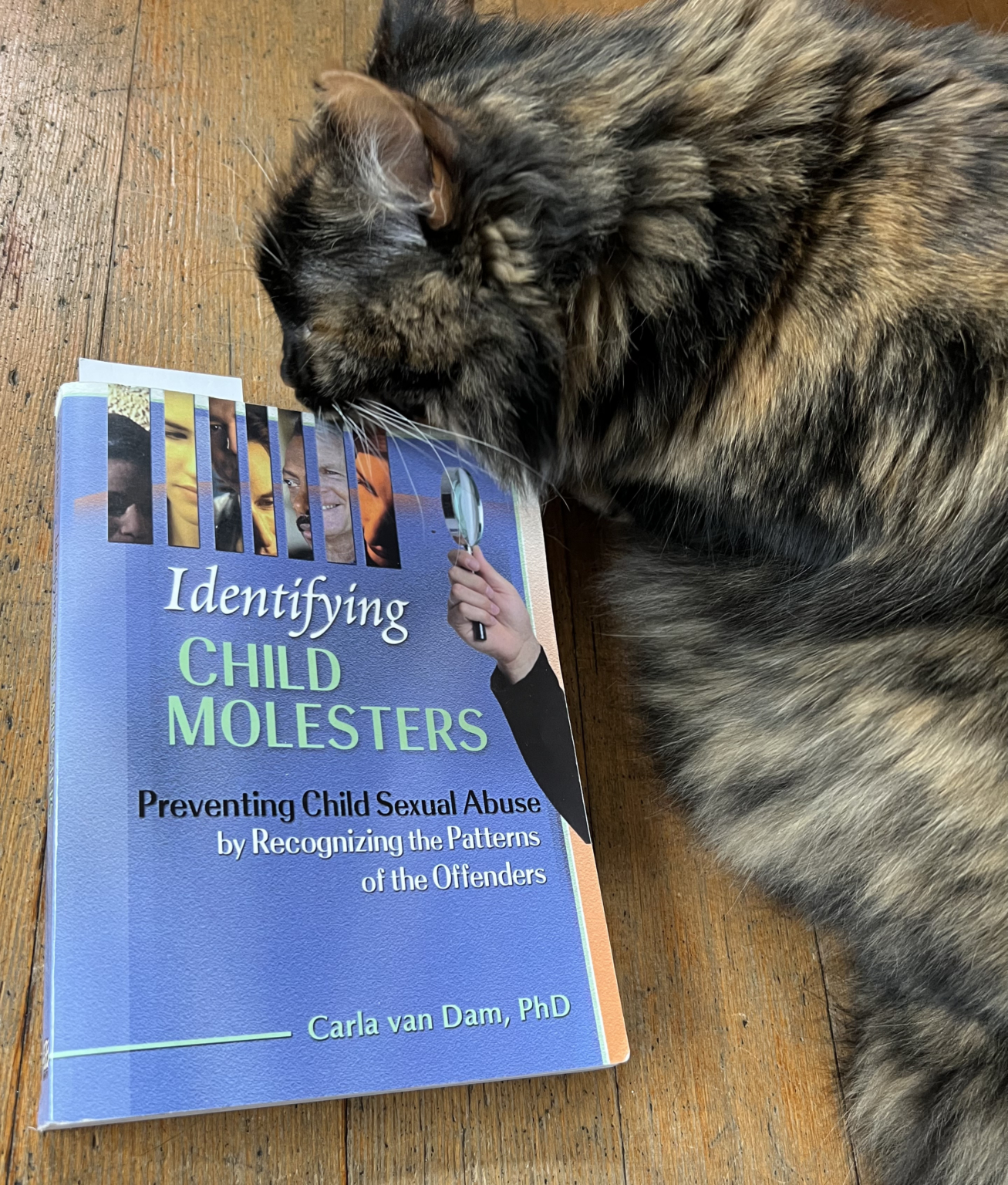Identifying Child Molesters, a book by Carla van Dam, PhD - Strategic ...